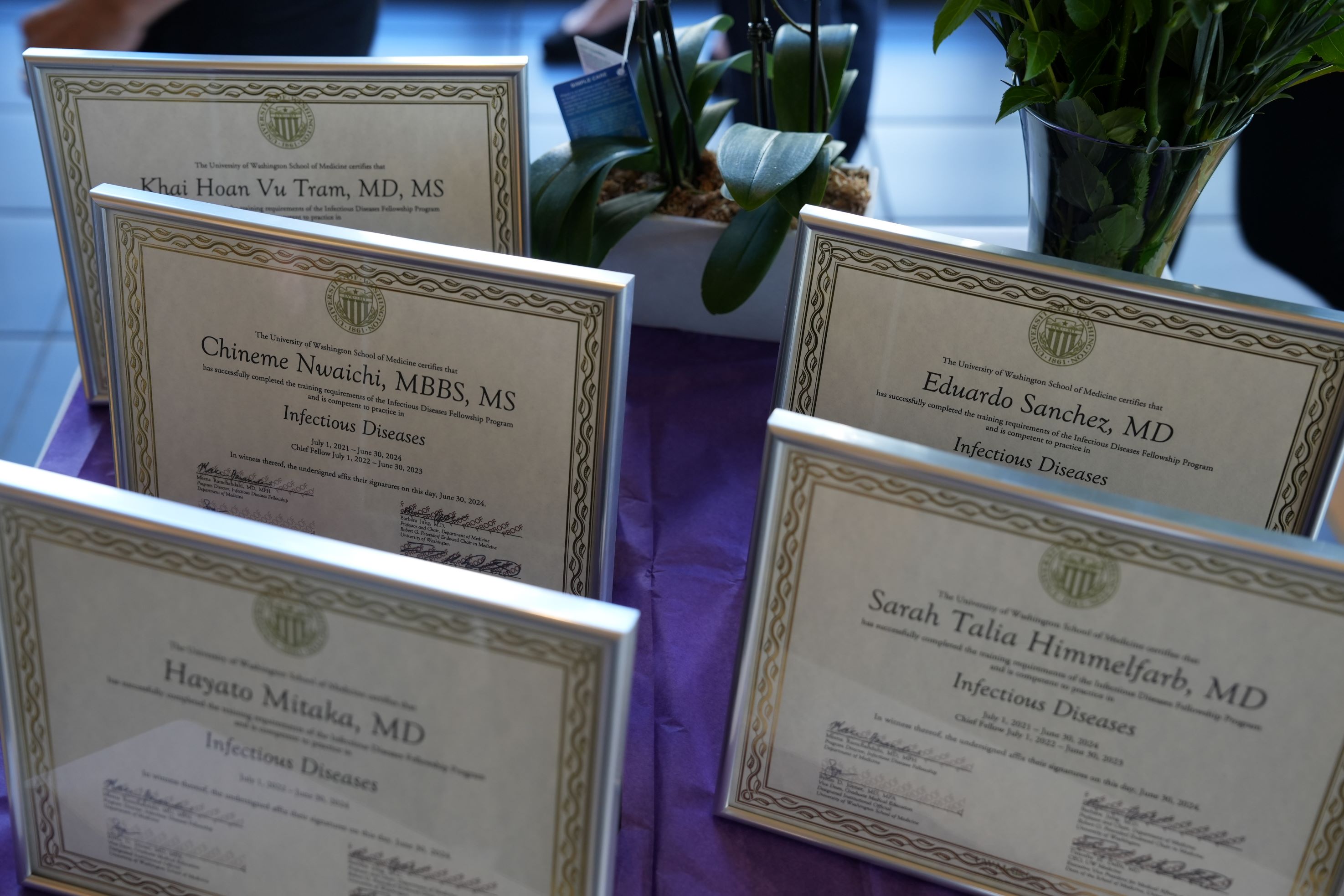 ID Fellowship Structure | Allergy & Infectious Diseases